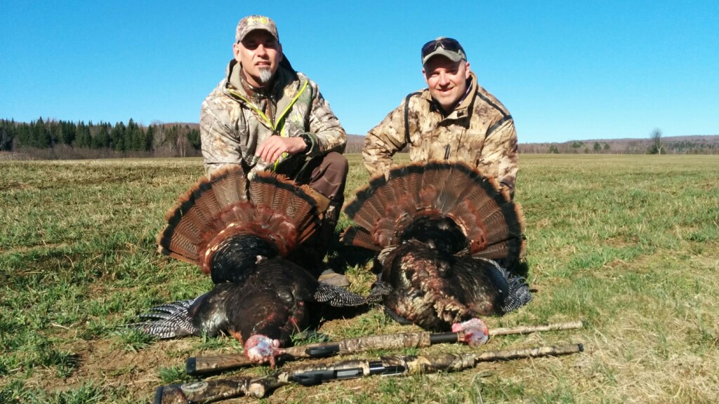 Chasse à la bécasse au Québec - Perdrioles